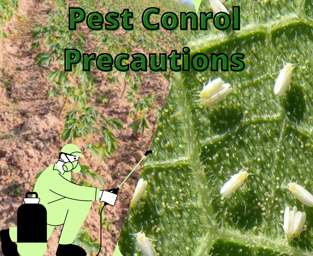 Precautions for pest control and manure for better field?