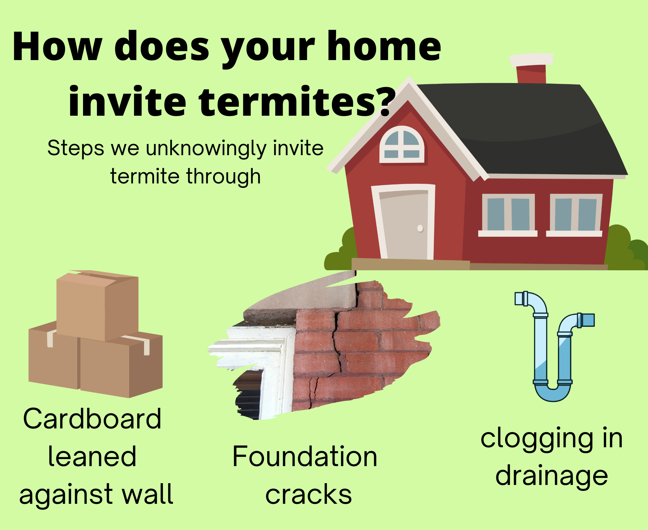 Termites Treatment Termites Treatment