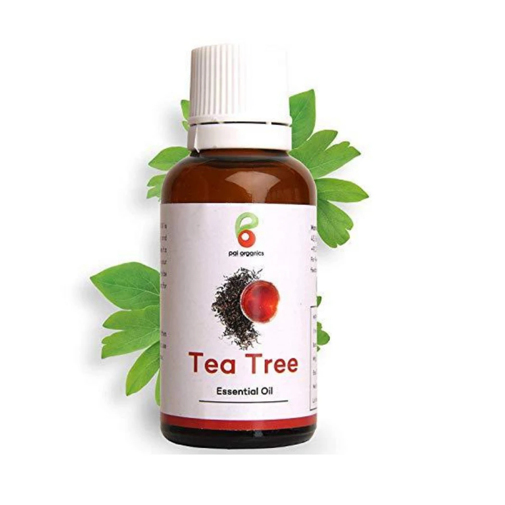 Buy Tea Tree Essential Oil Online | Pai Hygiene & Health Care